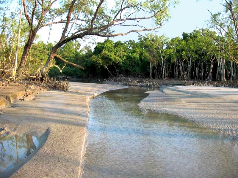 Travel & enjoy the natural beauty.: Sundarbans