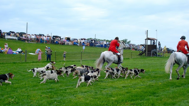 Alexandra D. Foster Destinations Perfected: Winterthur, Delaware ...