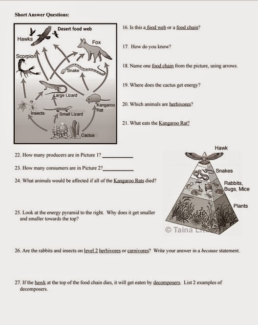 Teaching the Kid: Ecology Unit Test