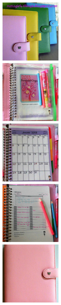 2013 girly planner