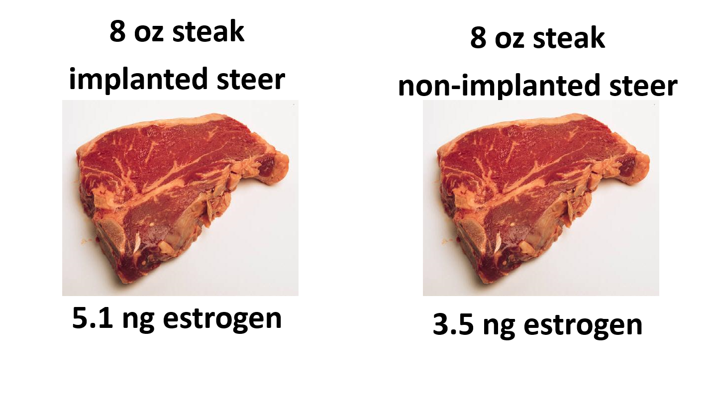 what does 8 oz of meat look like