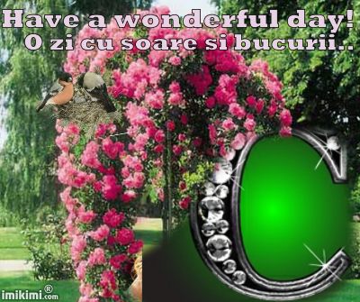 Heraldry of Life: WONDERFUL DAY with Artistic Alphabets