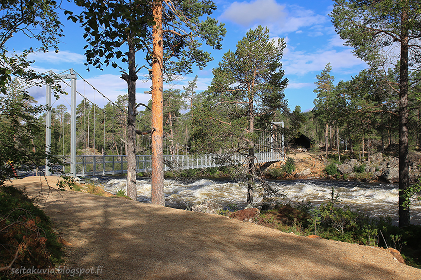 seita: Juutuan polku