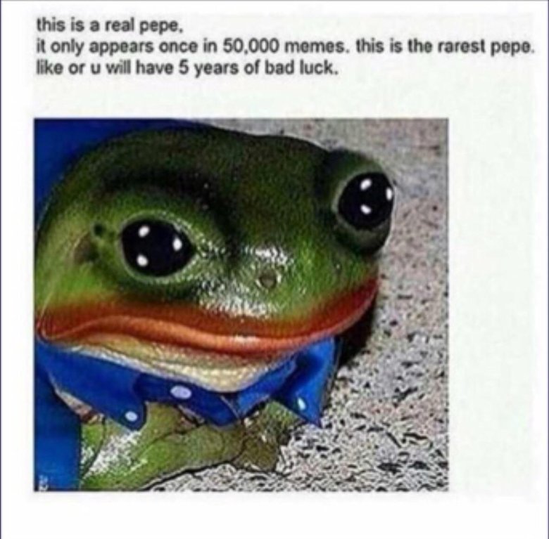 This is a real pepe, it only appears once in 50000 memes, this is the ...