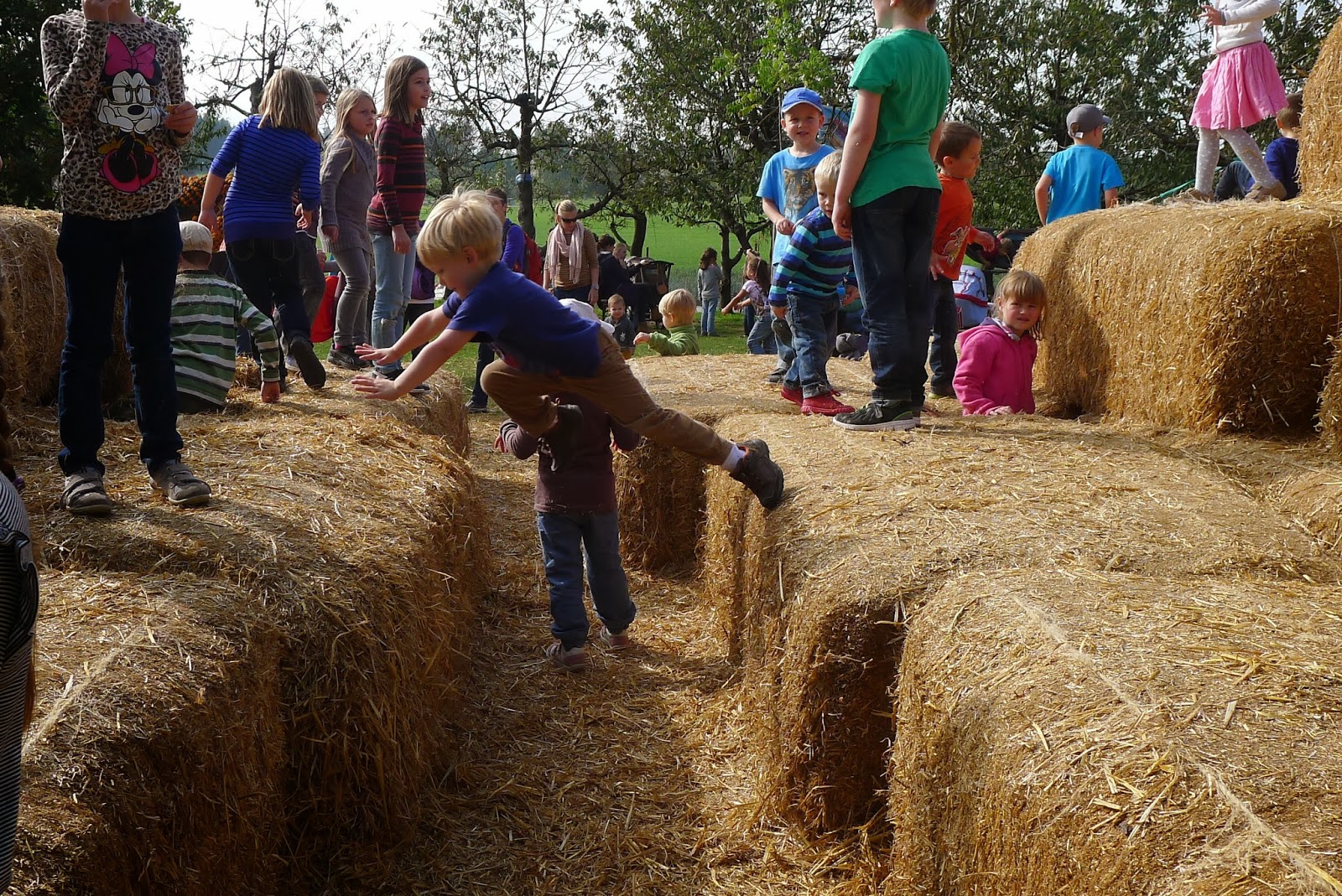 Six in Switzerland: Jucker Farm