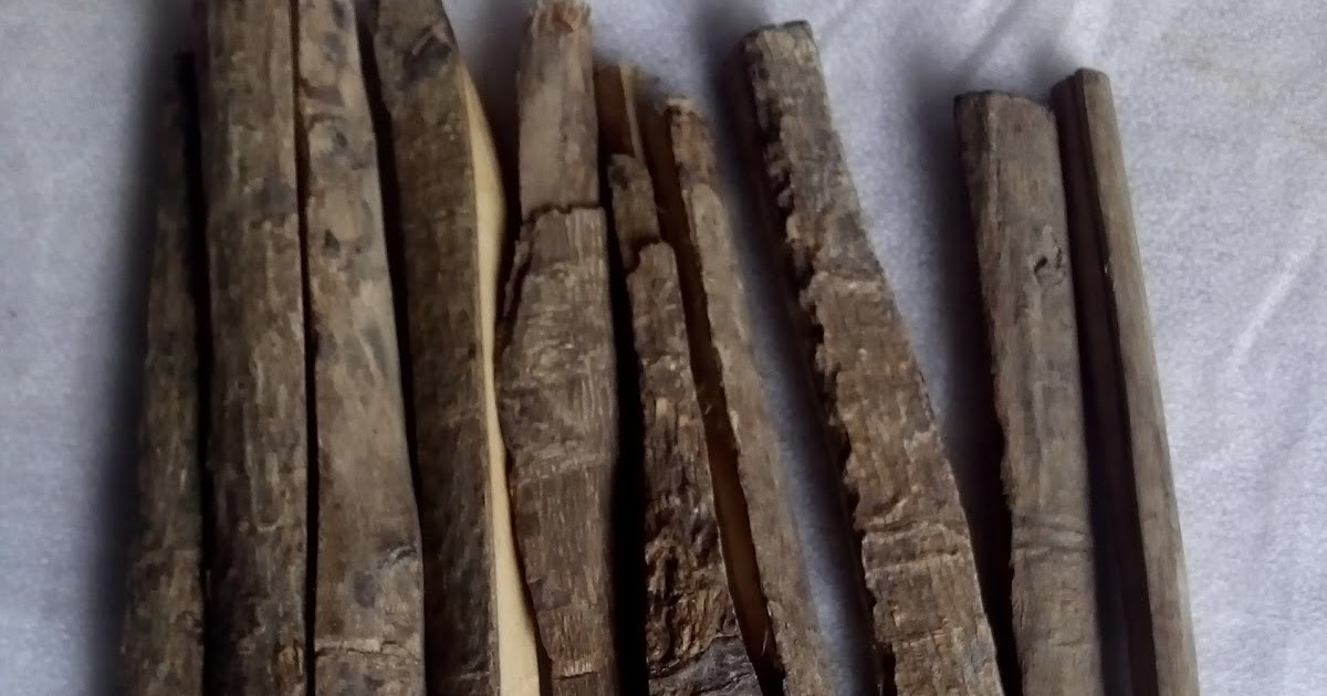 Alternative health tips, healthy lifestyle choices: An African Chewing ...