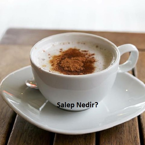 Salep Nedir?