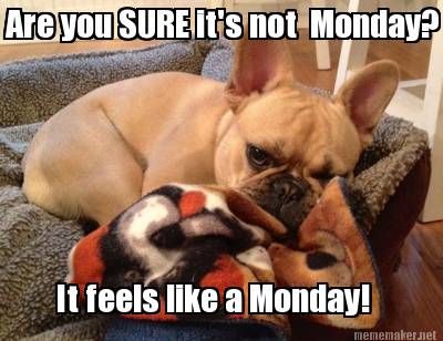 A Very Monday-ish Thursday!!