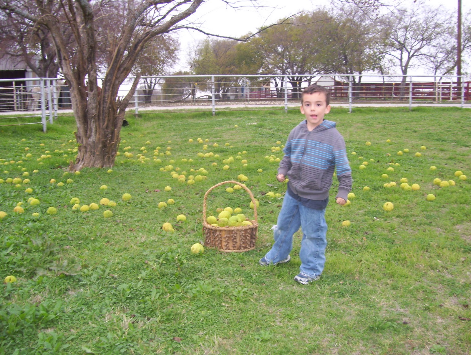 Kindergarten & Preschool for Parents & Teachers: Pattern Naturally