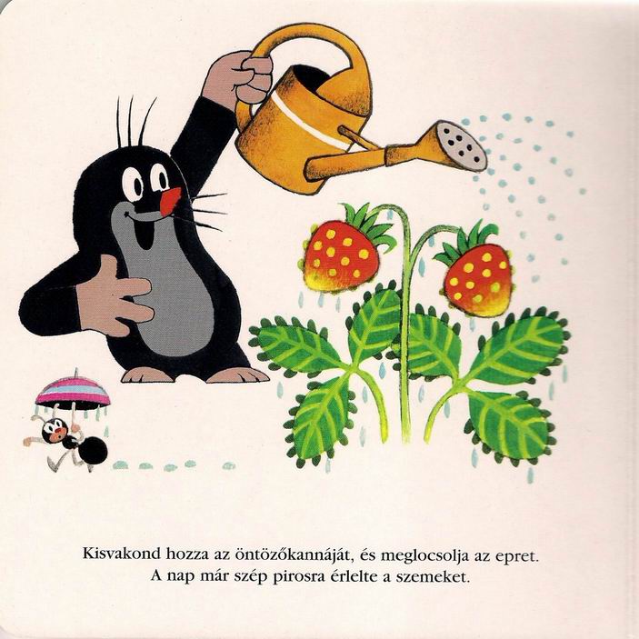 Boldogbaba: Mesekönyv - Kisvakond (több)