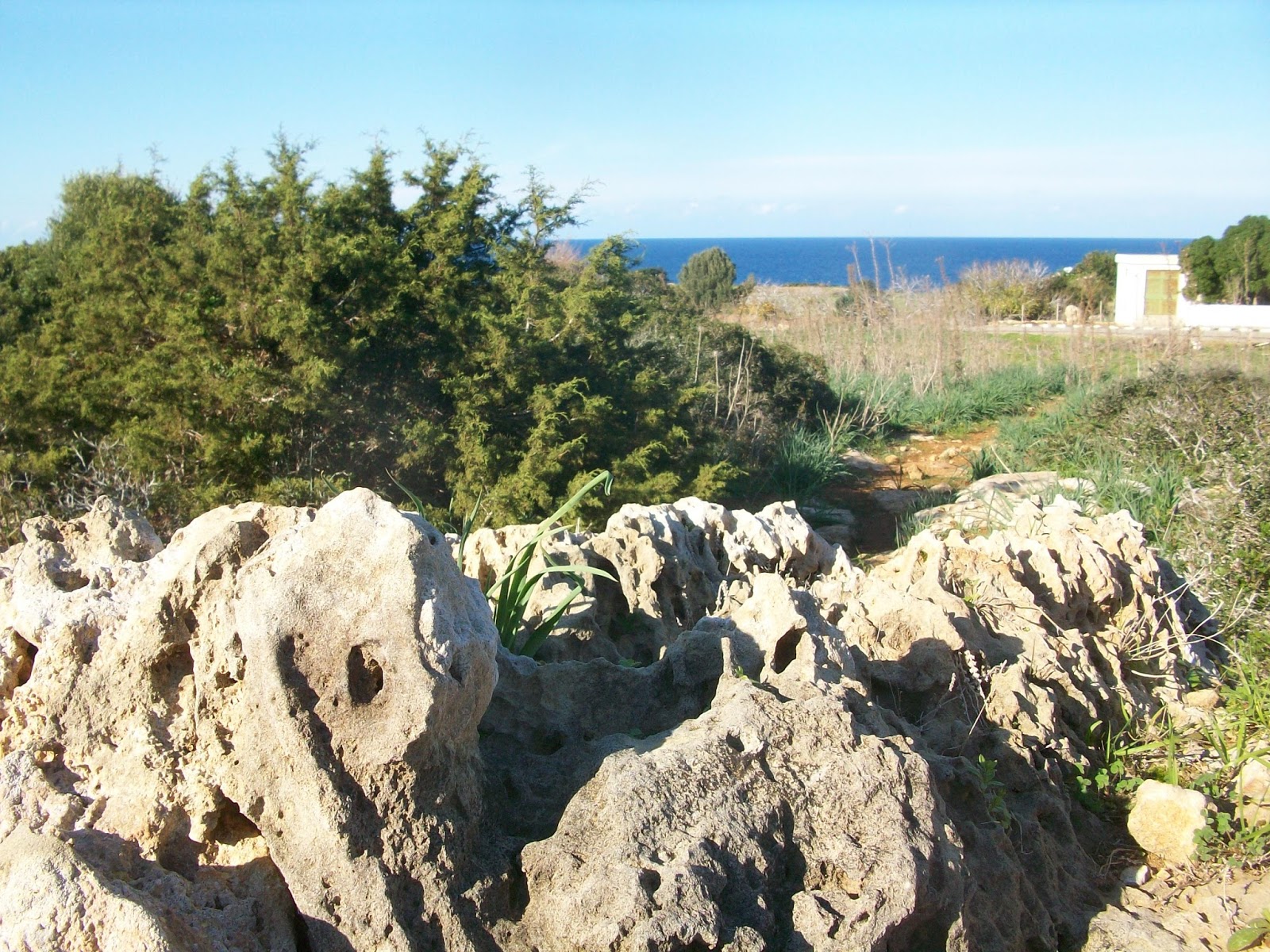 Gölge Gezgin: Cyprus Hiking 04 : Koruçam - Kayalar - Sadrazamköy