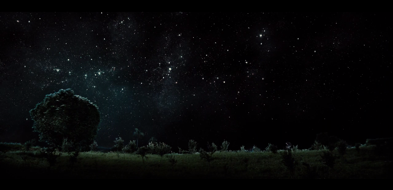 My Own Sky: starry field