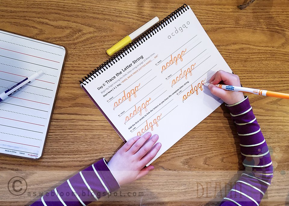 As We Bloom: CursiveLogic and The Art of Cursive Review