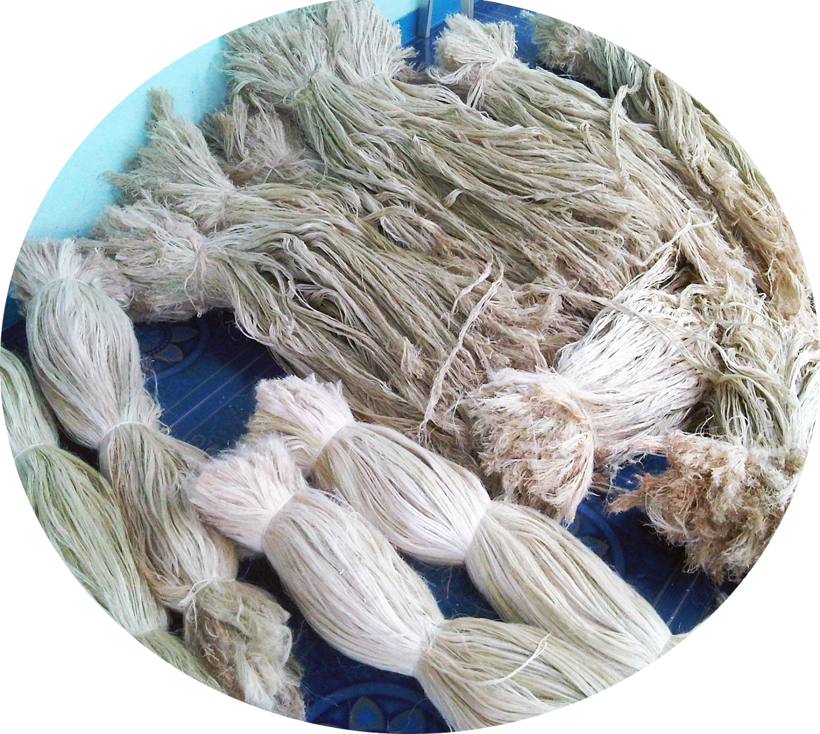 Serat Daun Nanas Subang