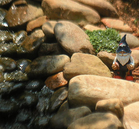 Bloom Where You're Planted