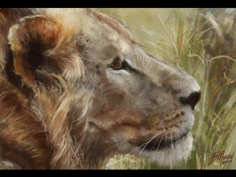 Bryan Morton Art: Animal Studies