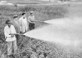 Global Issues: DDT Use: Then and Now