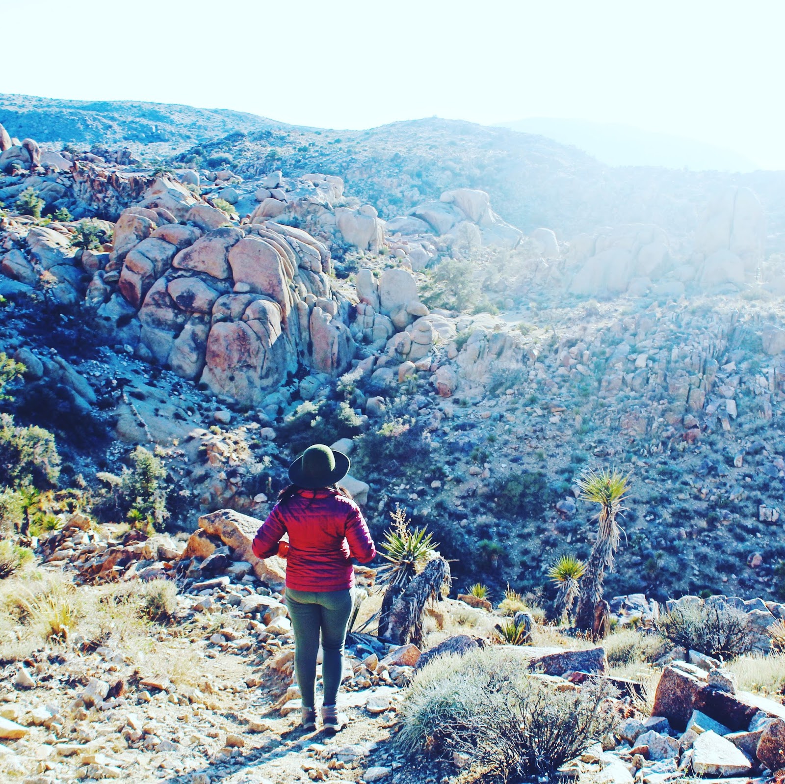 Making Restorations: a secret hike in Joshua Tree