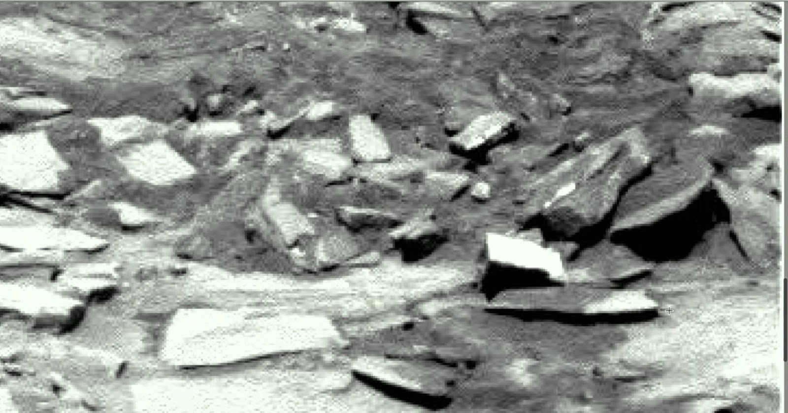 Dark Secrets: Life on Mars