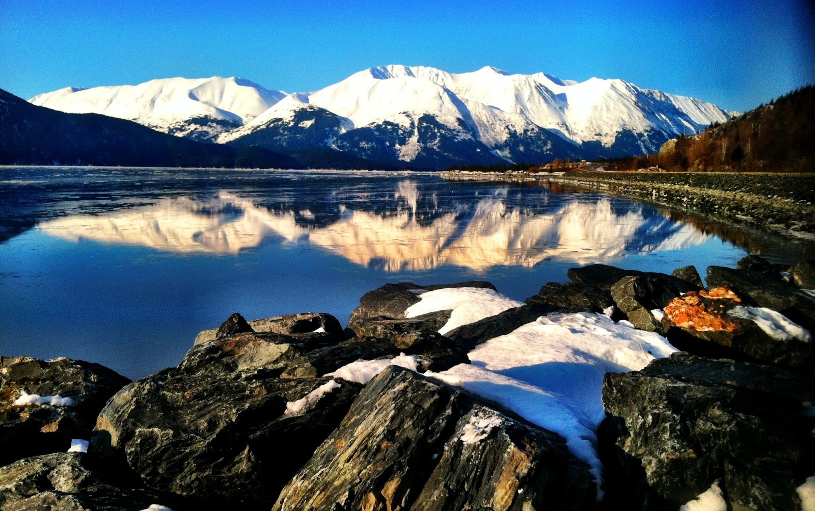 The Library Voice: Hagan Blogs About Our Alaskan Spring Break and the ...