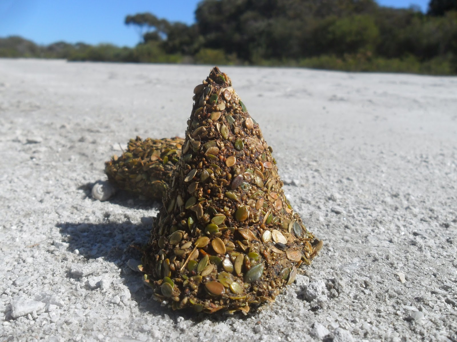 Nobodhis Yoga Journal: 09/2012