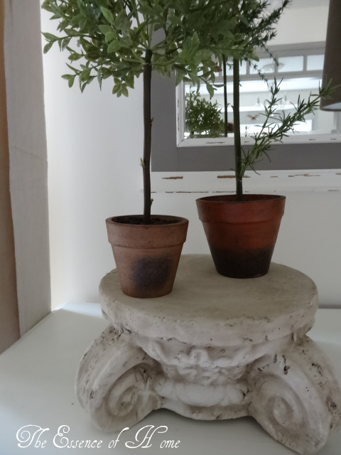 The Essence of Home: Props for Plants