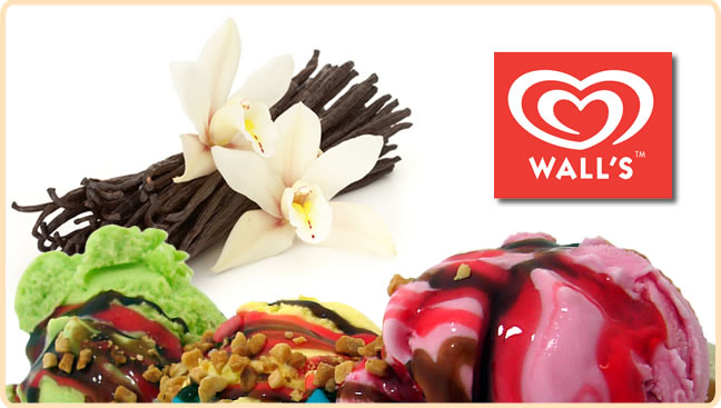 Wall's Ice Cream: Wall's TUBS