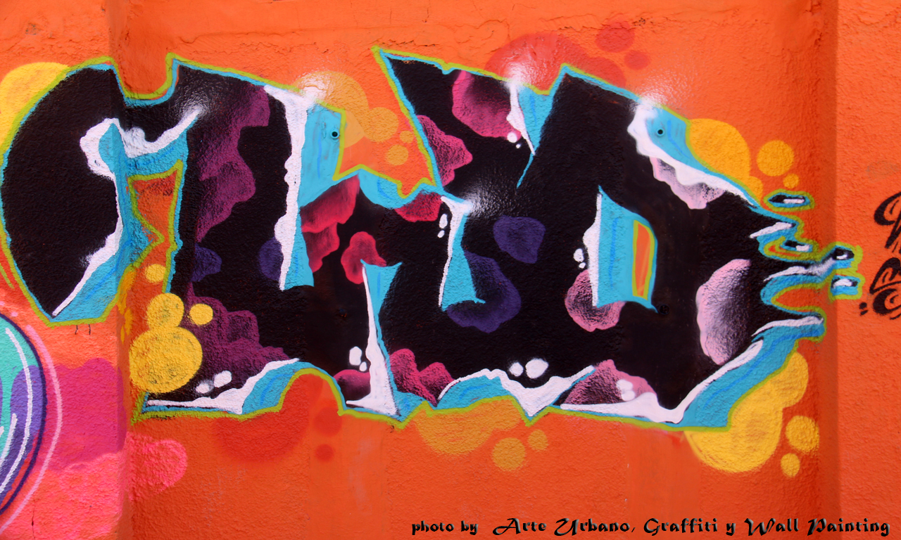 @photojo53: Xekin 13 Graffiti Party(Canet d'en Berenguer 12)