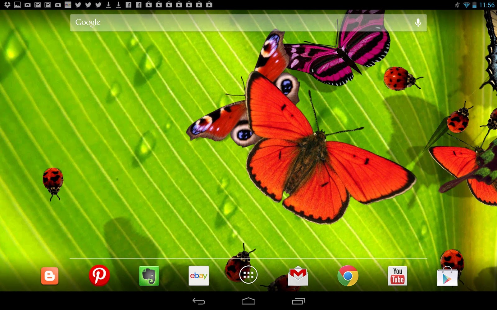 Friendly Bugs Live Wallpaper | Natural Ramblings