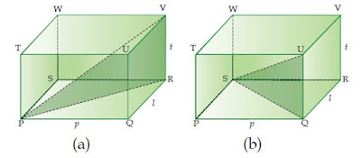 Pengertian Diagonal Bidang dan Diagonal Ruang beserta Rumusnya