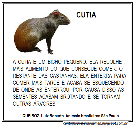 Meu Cantinho Preferido: Plano de aula - 2ª semana Março
