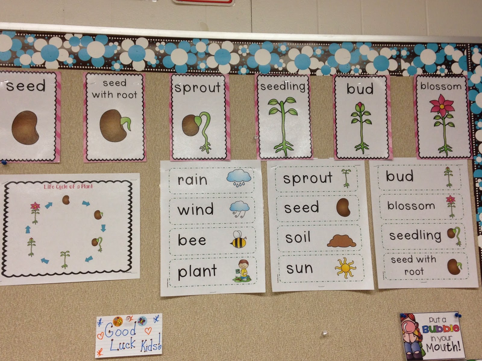 Lovin' Kindergarten With Mrs. Lindsey: Springing Into Science Blog Hop ...