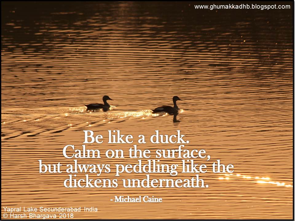 Ibsen Wild Duck Quotes
