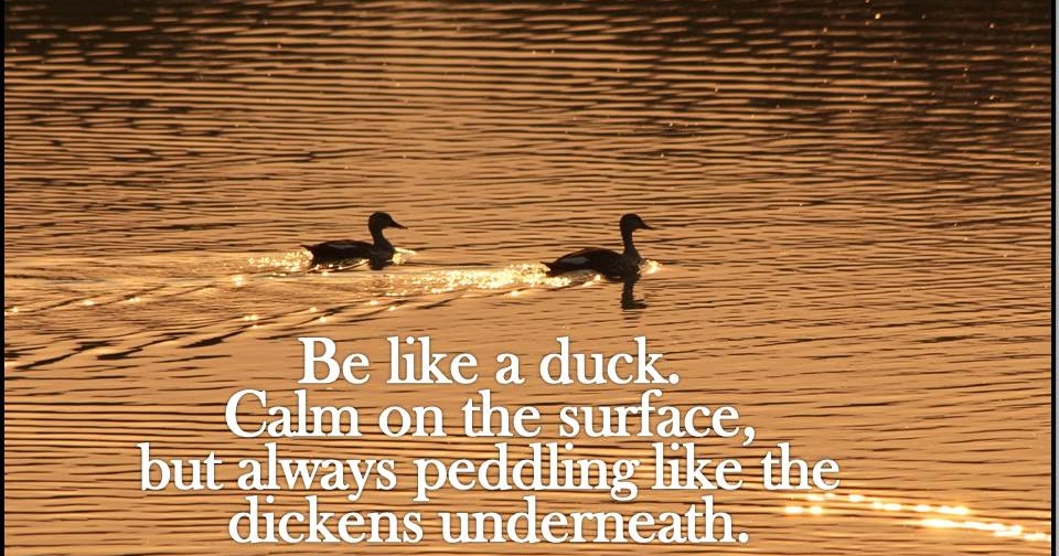 Ghumakkad Harsh: Be like a Duck