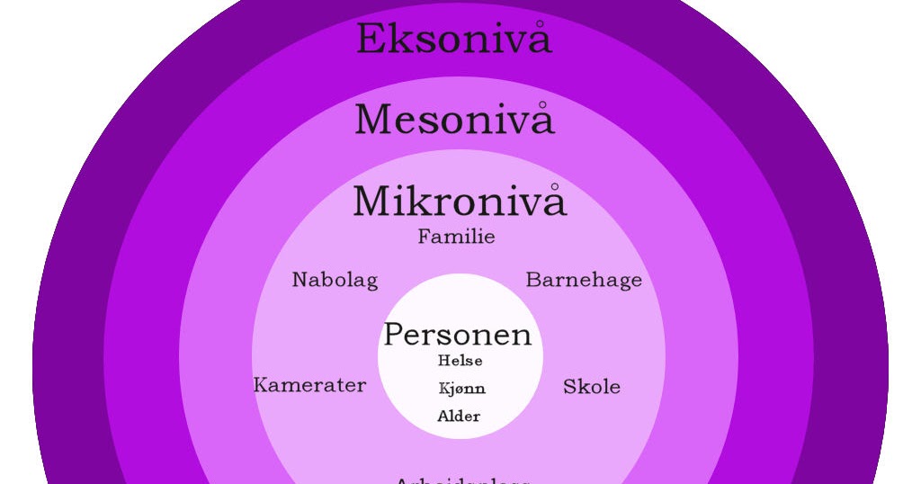 Barn og ungdom: BRONFENBRENNER