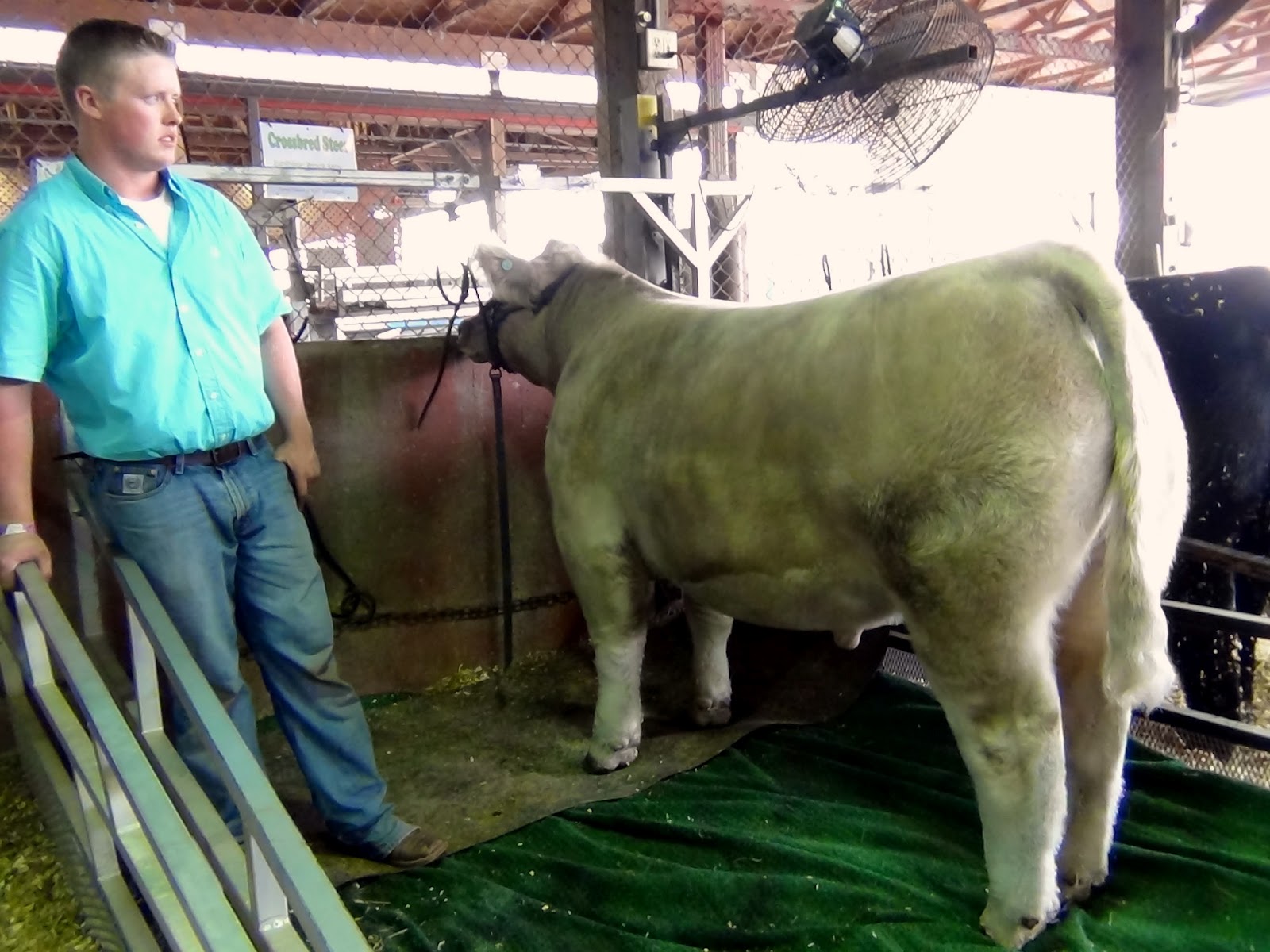 Executive Sires, Inc.: 2012 Wisconsin State Fair - Candid Shots of the ...