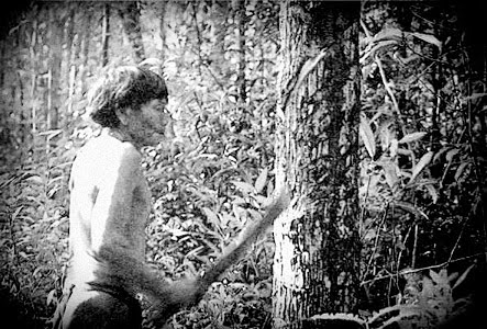 Luis Rafael Damiani: un hombre extraordinario. (1913- 2006 )