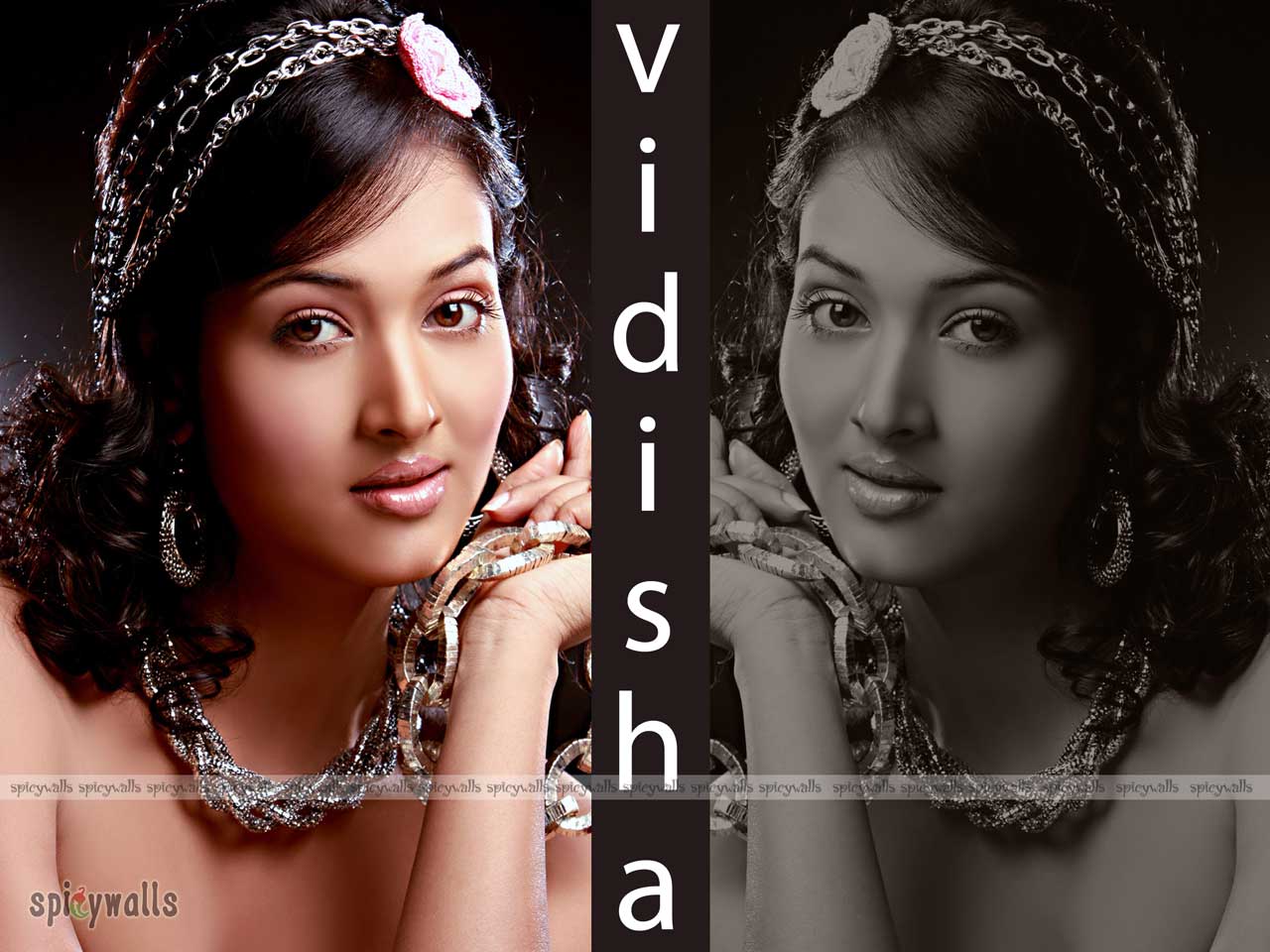 .: Vidisha