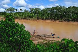 TRABAJOS DE INVESTIGACIÓN DE LA UNU "Universidad Nacional de Ucayali ...