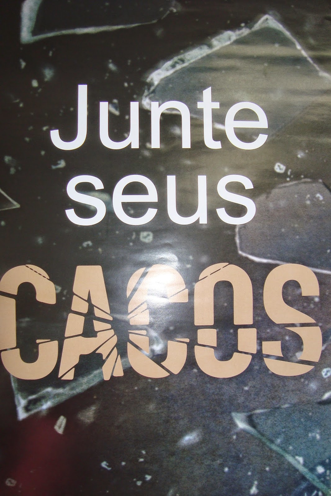 Projeto: Juntando os Cacos