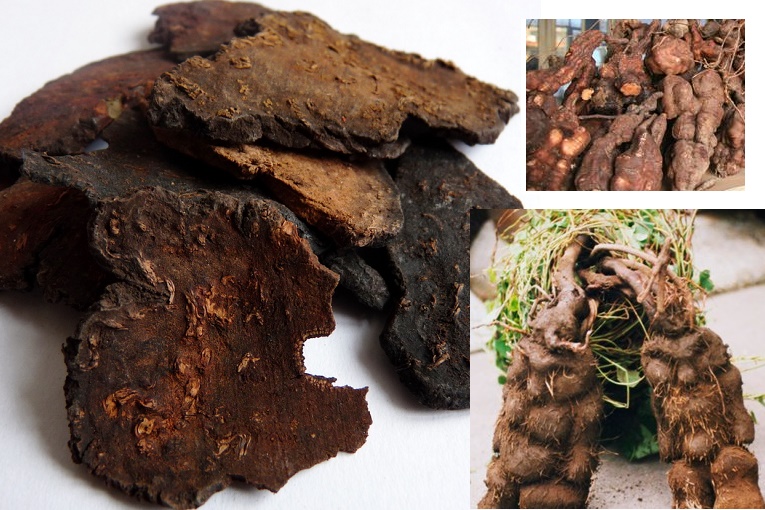 FLEECE FLOWER ROOT SOUP WITH CODONOPSIS AND BLACK CHICKEN - Lava Queen