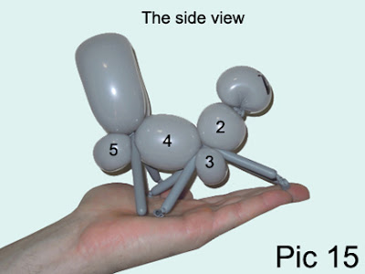 CLASSICAL: How to make balloon ant