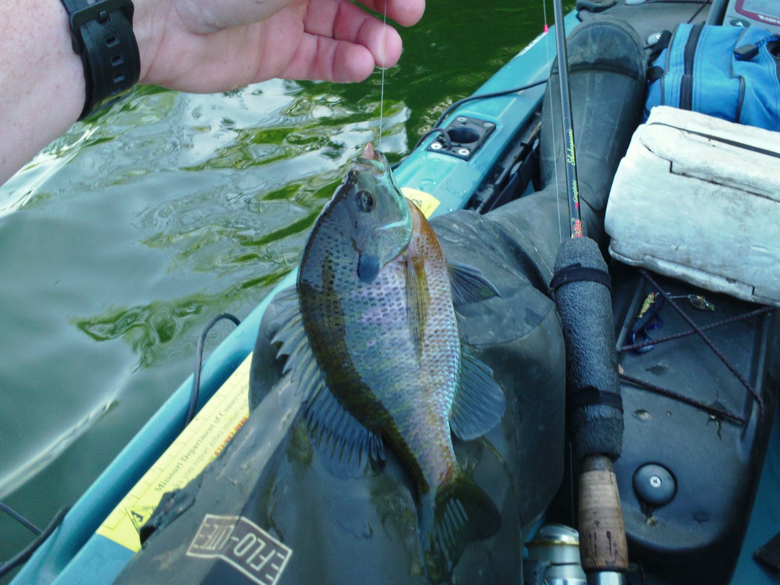 Fish Missouri: Lake Sherwood, Warren County, Missouri April 8th 2012 ...