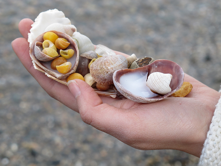 Daina Scarola, Ocean Art Studio: June 2013