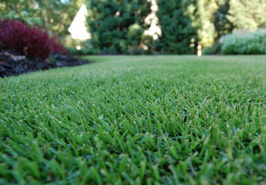 Arco Lawn Equipment: Overview: Types of Grass