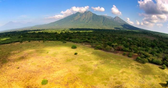 5 Macam Ekosistem di Indonesia - Biologizone