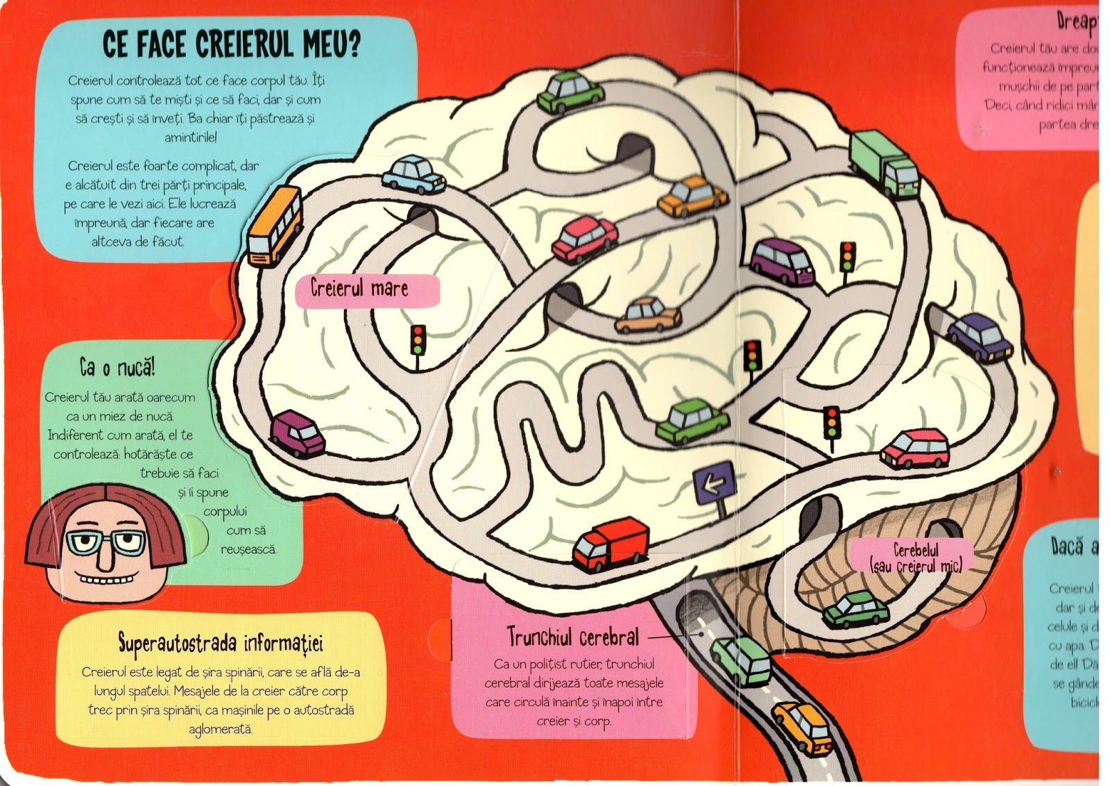Vremea copilariei: Descoperim corpul uman
