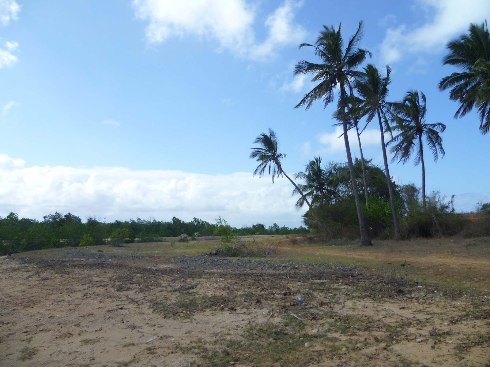 Senicoms Green Solutions: A Beatiful 2.5 Acres of Beach Land for Sale ...