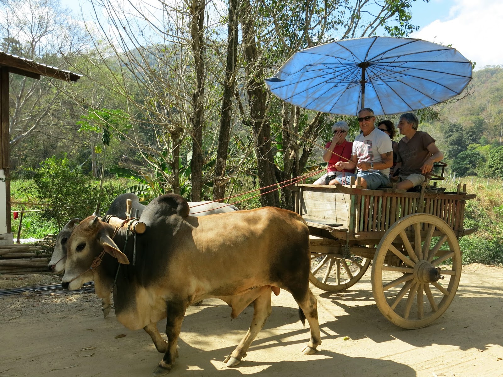 Thailande 2016: Promenade en charette