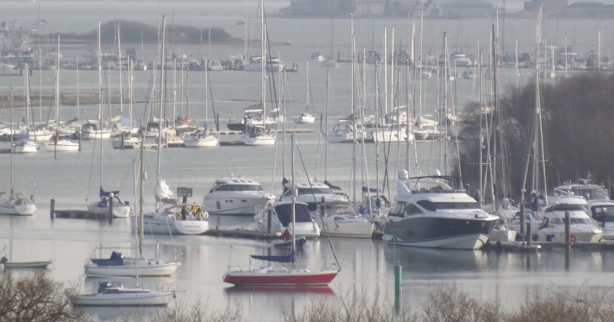 the corn poppy: Hamble River